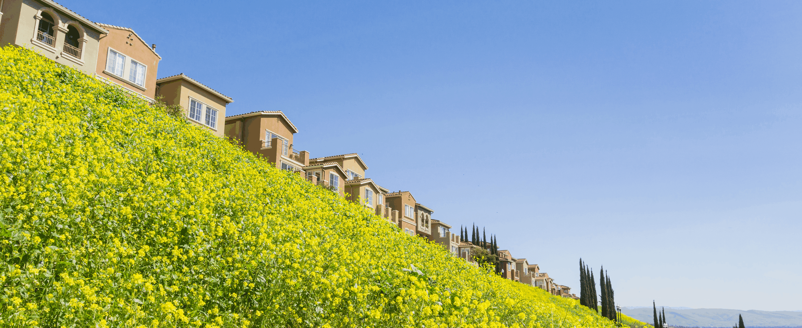 The Surprising Answer to 'Can Homes Slide Down Hills?' | Level Up